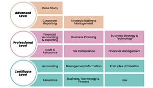 ICAEW ACA - DSR Professional Training