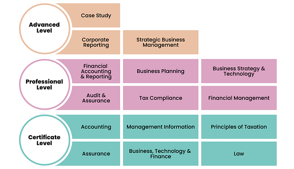 ICAEW ACA - DSR Professional Training