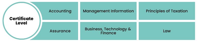ICAEW CFAB & BFP - DSR Professional Training