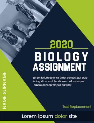 Book 1 - DSR Professional Training